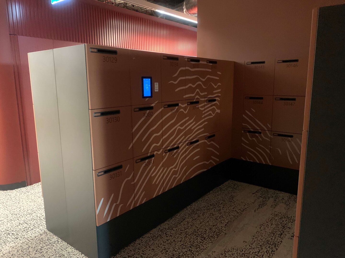 Microsoft Sydney | Vecos