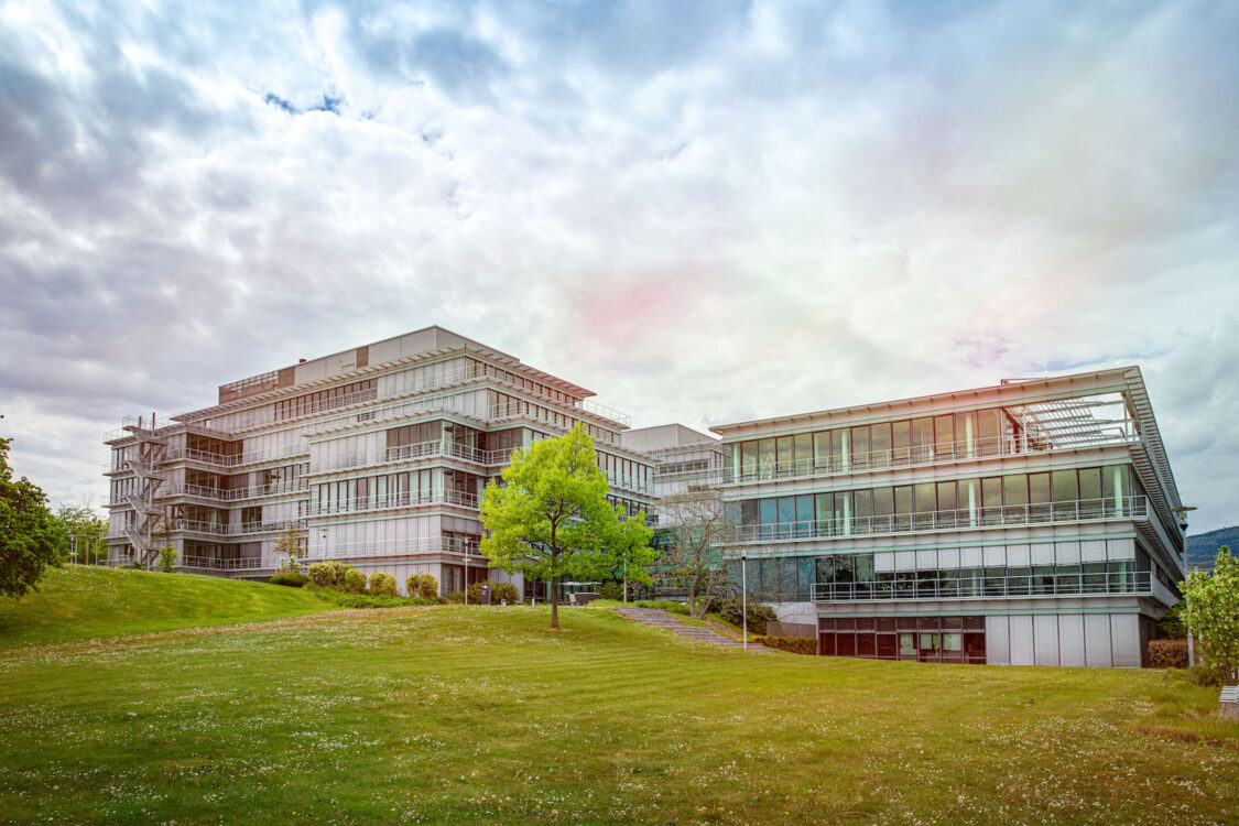 Accenture Germany | Vecos