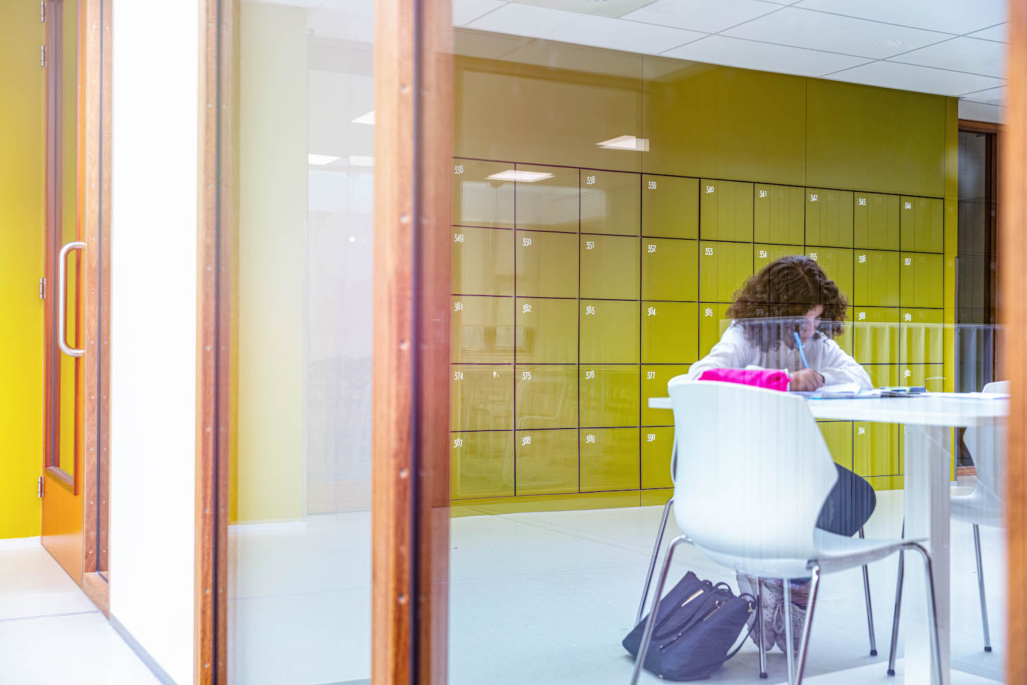 Lingecollege | Vecos
