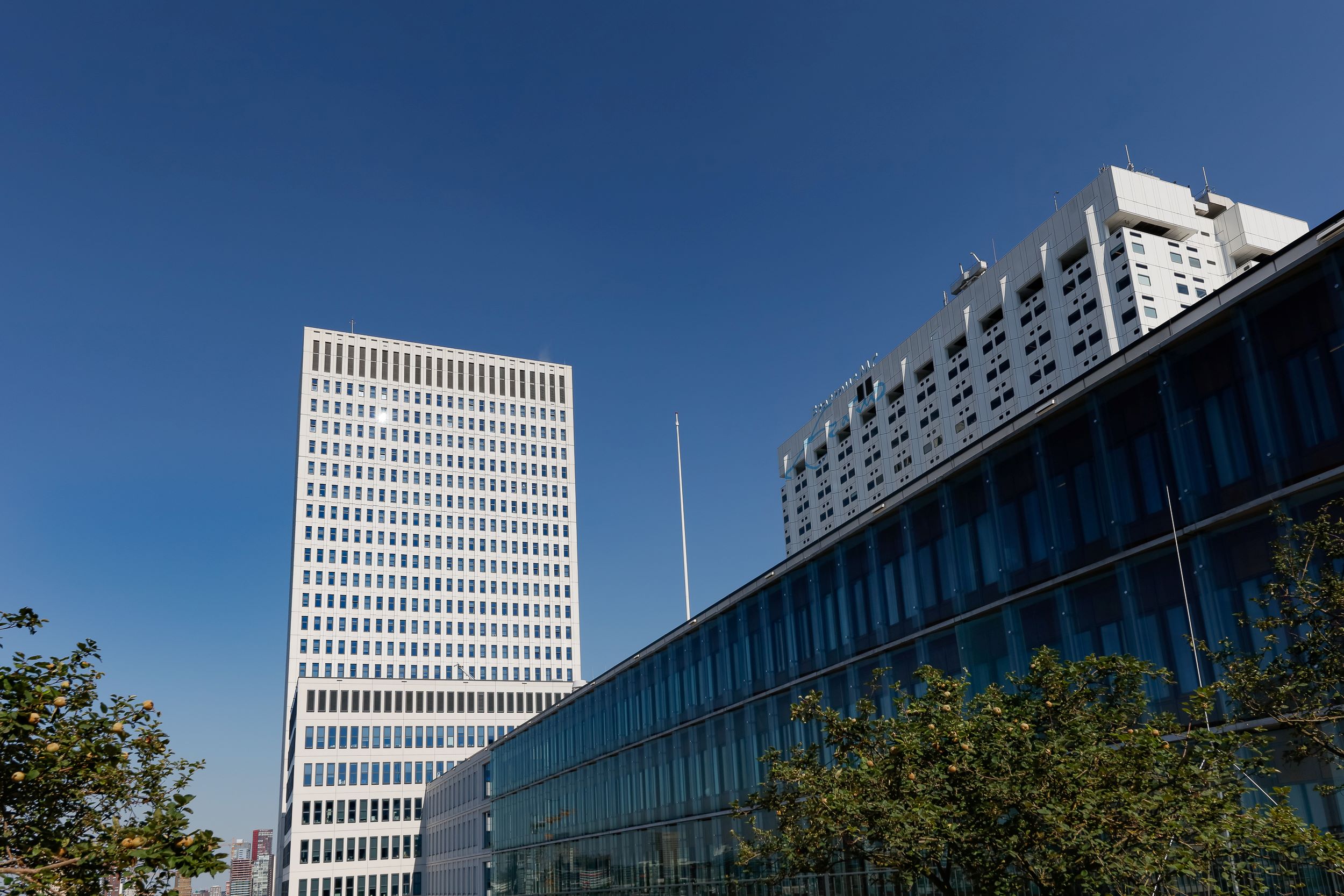 Erasmus Medisch Centrum | Vecos